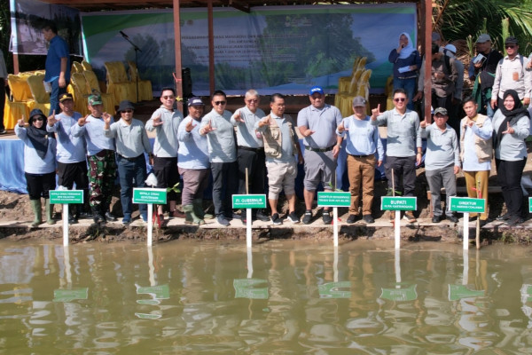 Indexim Coalindo Rehabilitasi DAS Mahakam Lewat Penanaman Tiga Juta ...