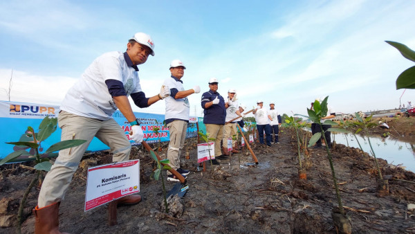 Hutama Karya Berkomitmen Tanam 100 Ribu Mangrove di Balikpapan | Korankaltim.com