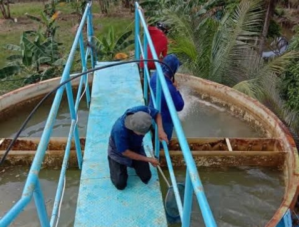 Perumdam Tirta Kencana Samarinda Kuras IPA Pulau Atas Besok, Aliran Air Bakal Mengecil ...