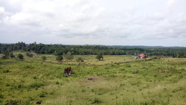 Bukit Kebo di Balikpapan Utara, Destinasi Wisata Baru yang Bisa ...