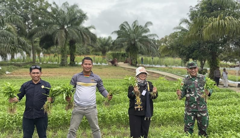 Dirjen Tanaman Pangan Kementan RI Sambangi Lahan Pertanian WBP Lapas Kelas II B Nunukan