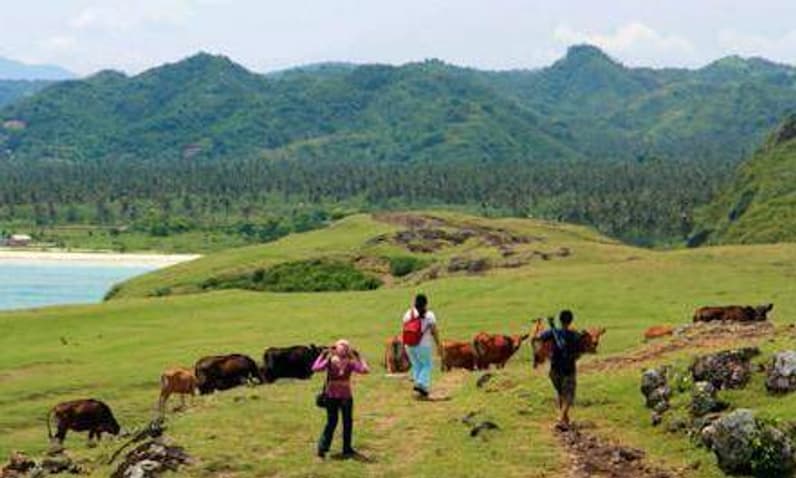 Balikpapan Punya Lima Tempat Wisata Baru, Salah Satunya Bukit Kebo ...